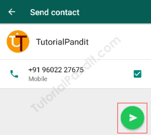 WhatsApp पर Contacts Share कैसे करें - TutorialPandit.