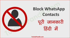 WhatApp Last Seen Status in Hindi (full settings) - TutorialPandit.