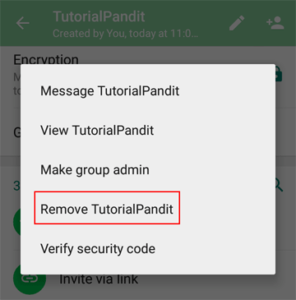WhatsApp Group कैसे बनाये - How To Create a WhatsApp Group in Hindi - TutorialPandit.