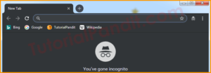 Private Browsing क्या होती हैं और कैसे की जाति हैं - TutorialPandit.