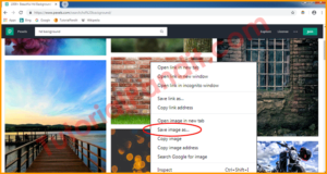 Chrome Browser में Downloading कैसे करें - TutorialPandit.