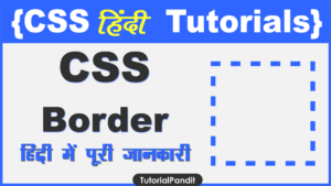 CSS Border Property in Hindi की पूरी जानकारी (with example) - TutorialPandit.