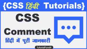 CSS comment Property in Hindi की पुरी जानकारी (with examples ...