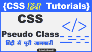 CSS pseudo-class Property in Hindi की पूरी जानकारी (with examples) - TutorialPandit.